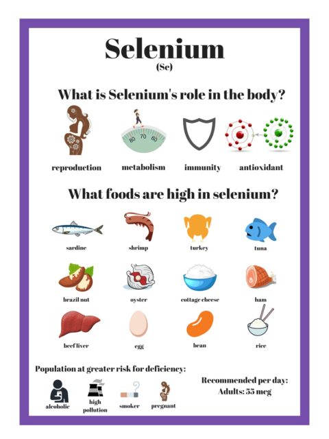 role of selenium in the body Archives - AZ Dietitians